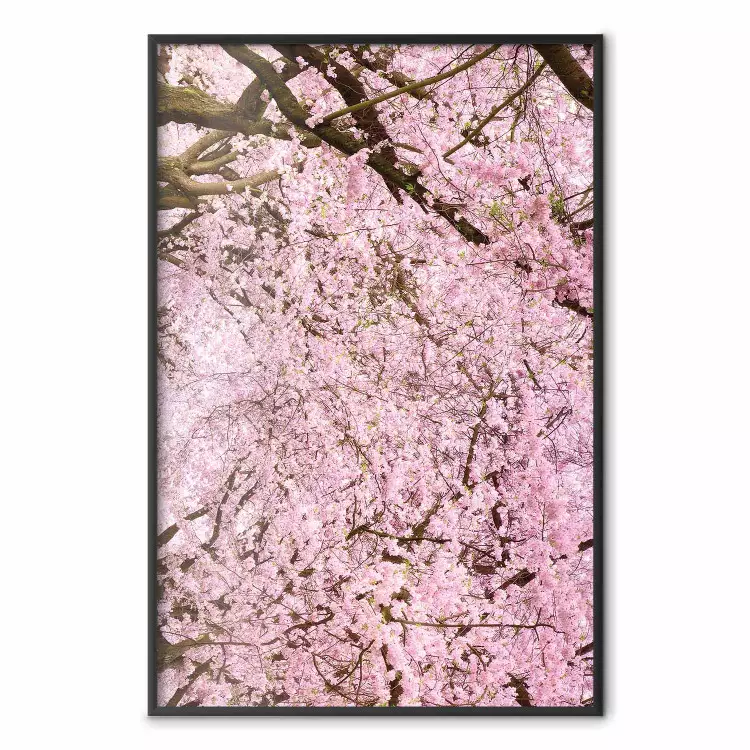 Plakát Cherry Tree [Poster] na zeď - obchod bimago